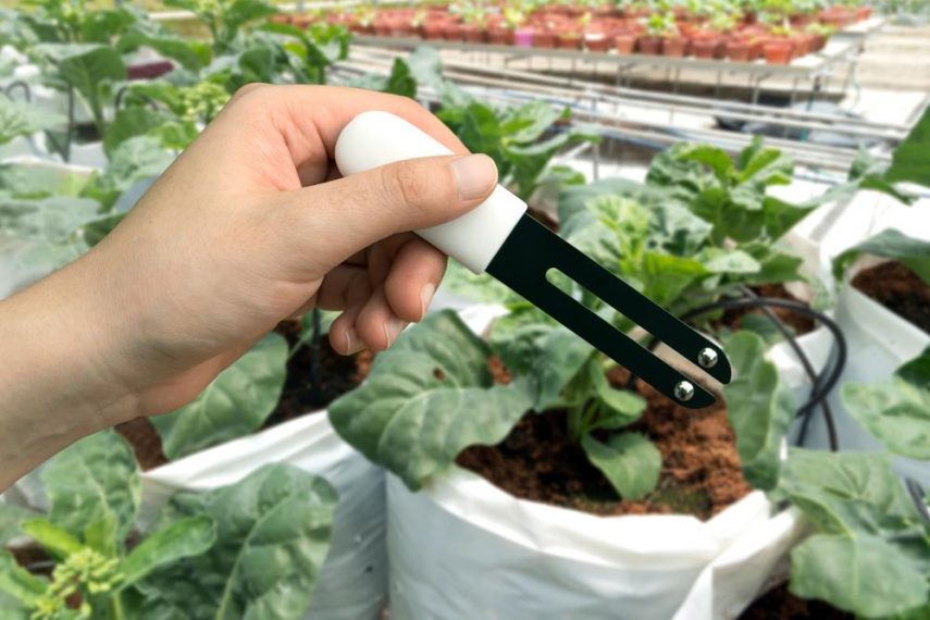 Simple Soil Test For The Best Home Grown Plants