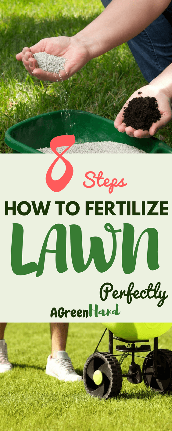 8 Steps On How To Fertilize Lawn Perfectly - A Green Hand