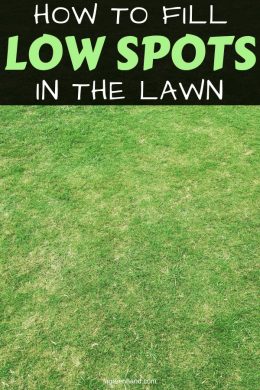 How To Fill Low Spots In The Lawn - AGreenHand