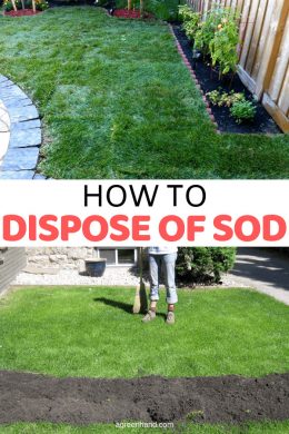 How To Dispose Of Sod - AGreenHand