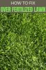 How To Fix Over Fertilized Lawn - AGreenHand