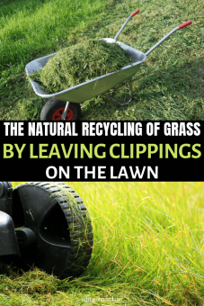The Natural Recycling Of Grass By Leaving Clippings On The Lawn
