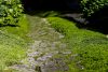 Use Simple Organic Weed Control When Making Garden Pathways - AGreenHand