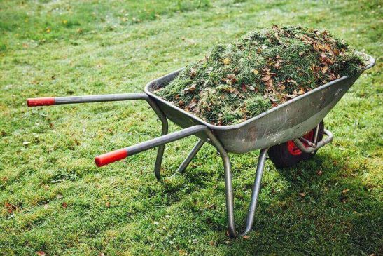 Lawn Waste: How to Prepare It for Pickup - AGreenHand