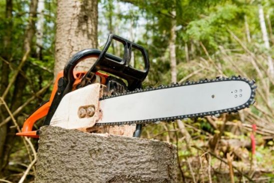 How to be Safe When Using a Chainsaw in Your Garden - AGreenHand