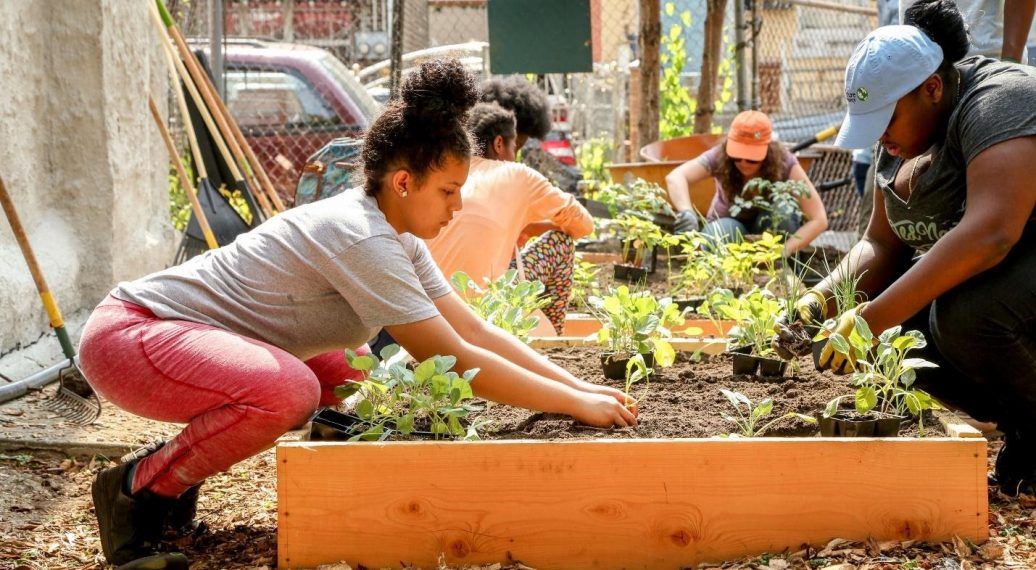 How Horticulture in School Develops Students’ Personalities - AGreenHand