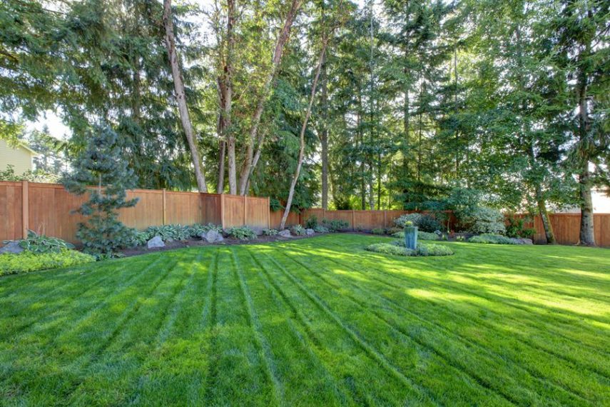 DIY Hydroseeding Your Lawn at Home - AGreenHand