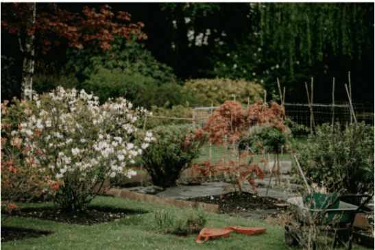 Forest Gardening Guide: Know 7 Layers of Forest Garden - AGreenHand