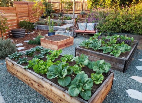 38 Different Types of Gardens For Indoors and Outdoors - AGreenHand