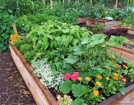 38 Different Types of Gardens For Indoors and Outdoors - AGreenHand