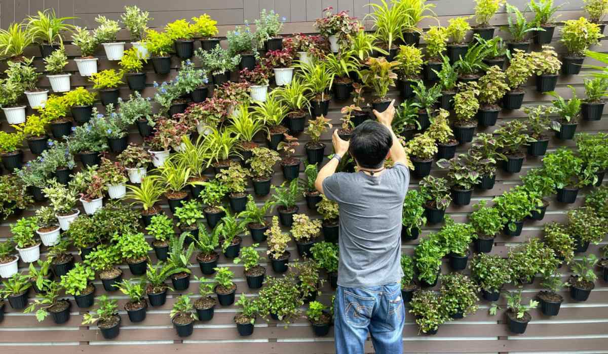 38 Different Types of Gardens For Indoors and Outdoors - AGreenHand