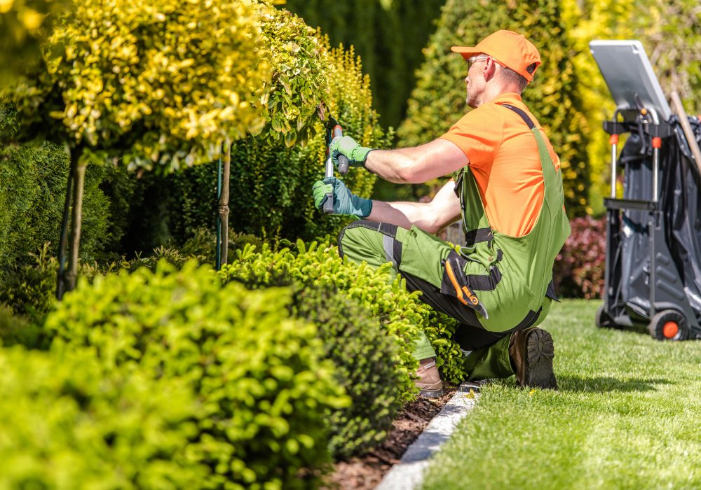 What Are The Environmental Benefits Of Green Landscaping - AGreenHand