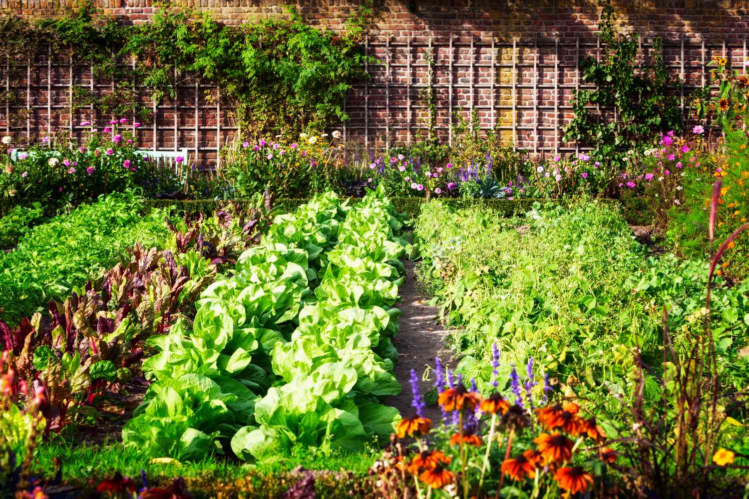 Companion Planting Chart: What To Plant Next To Each Other In A Garden ...