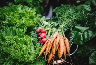10 Easy Vegetables to Grow for First-Time Gardeners - AGreenHand